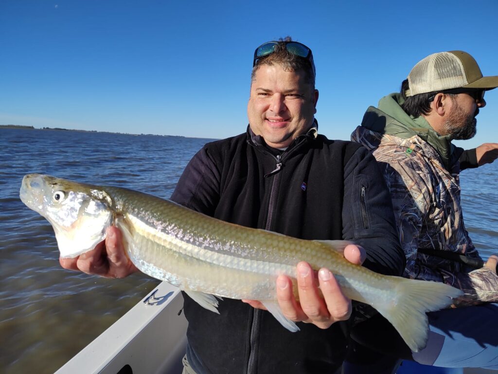 PEJERREYES EN LAGO COCHICÓ - Revista El Pato